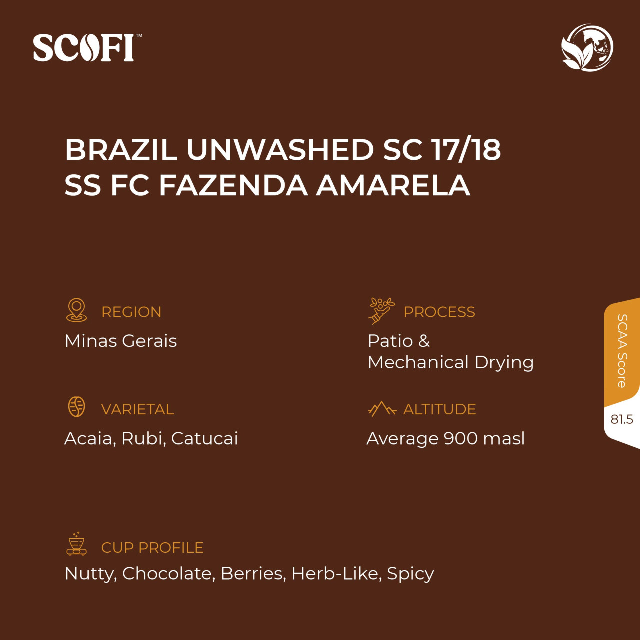 Malaysia's Best Raw Brazil Fazenda Amarela Arabica Coffee Beans