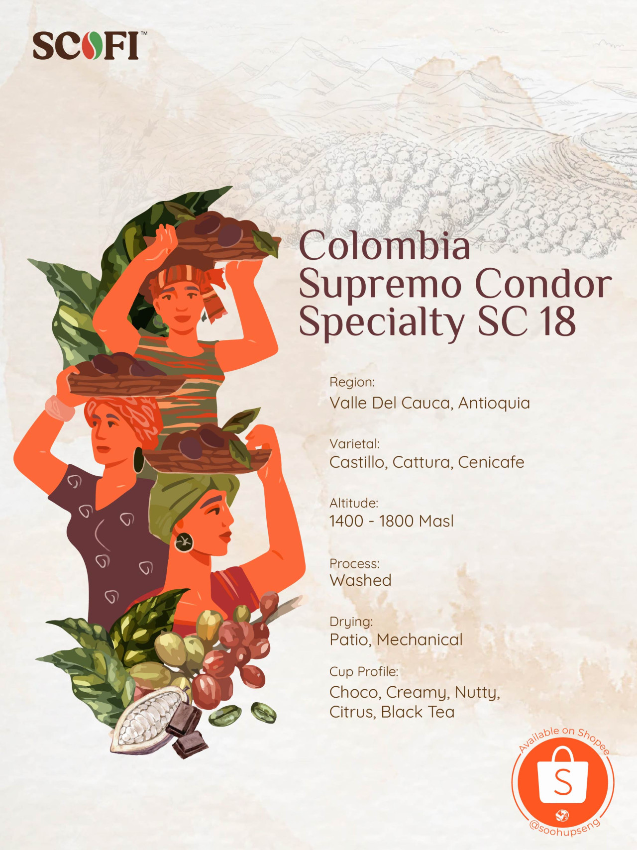 Arabica Coffee Beans Suppliers in Malaysia | Scofi