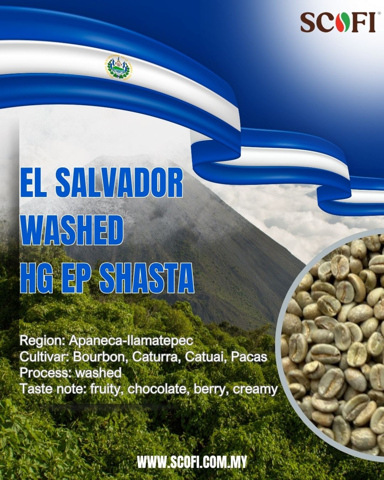 Raw Coffee Bean | Best Supplier In Malaysia