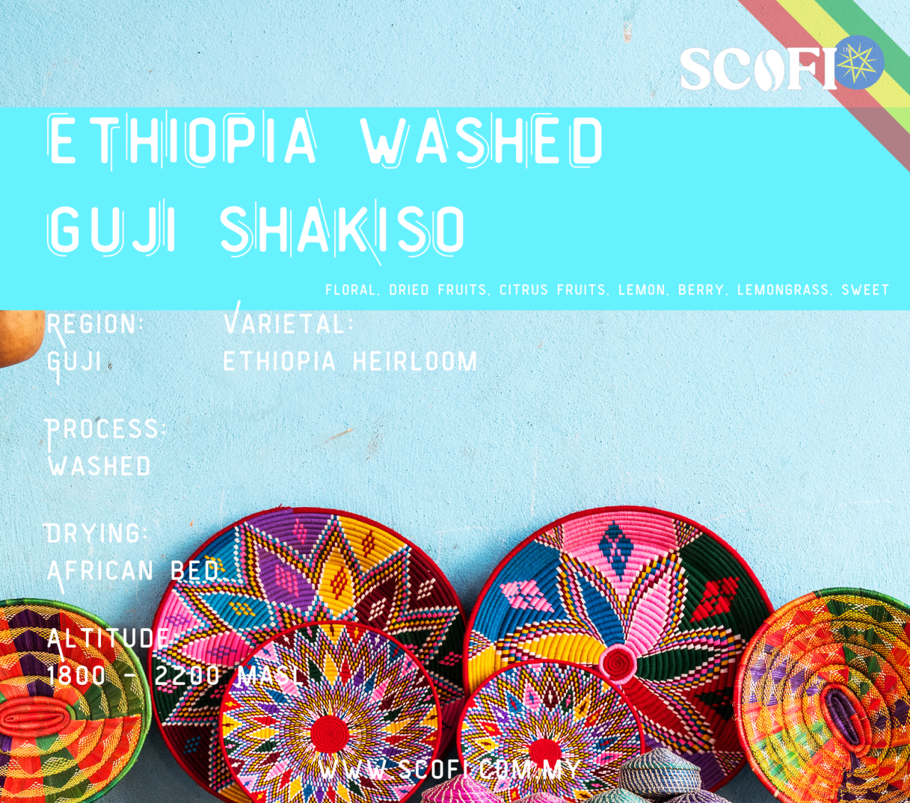 Malaysia's Best Raw Ethiopia Washed Guji Shakiso