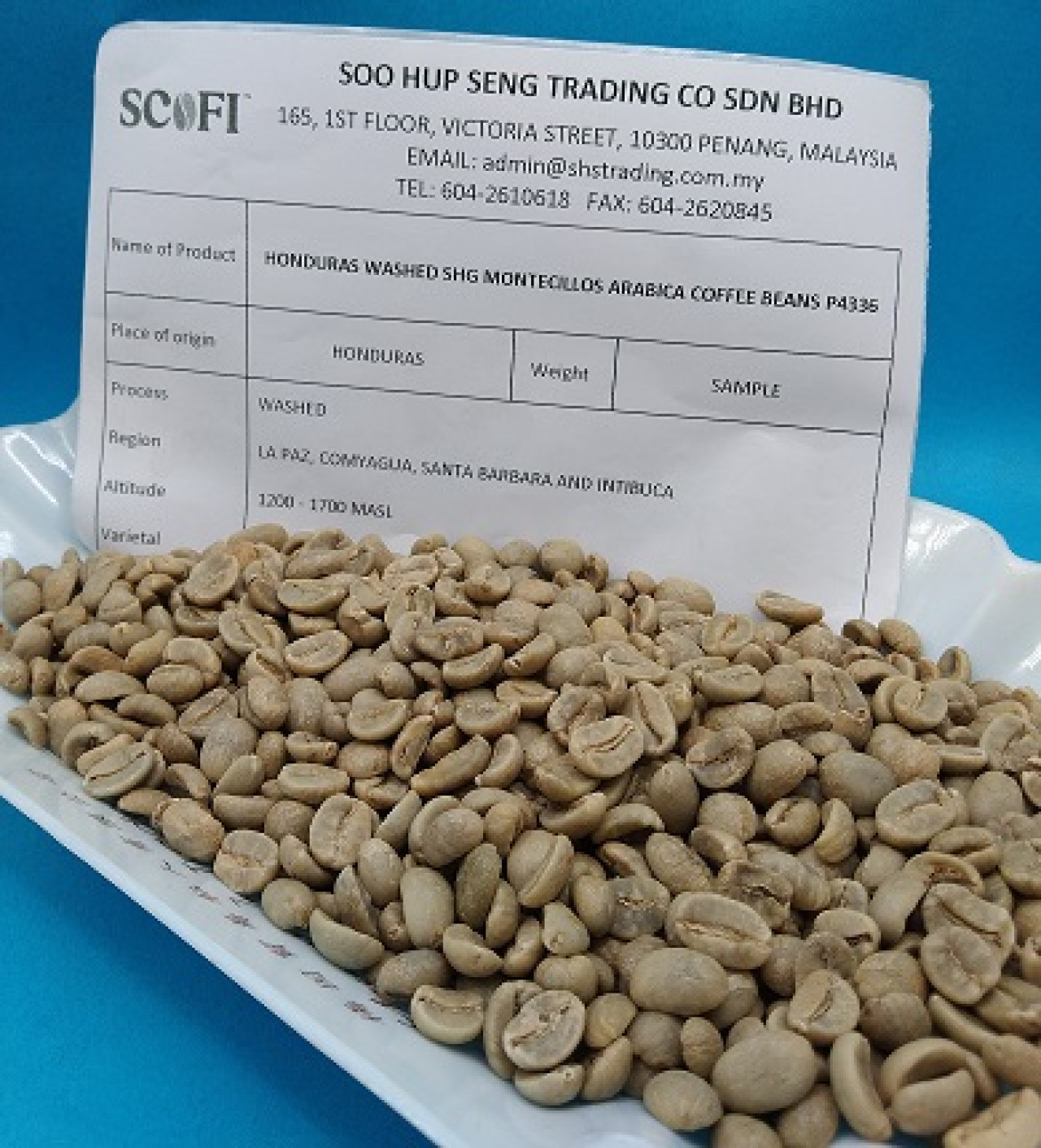 Malaysia's Best Raw Honduras Washed SHG Montecillos Arabica Coffee Beans