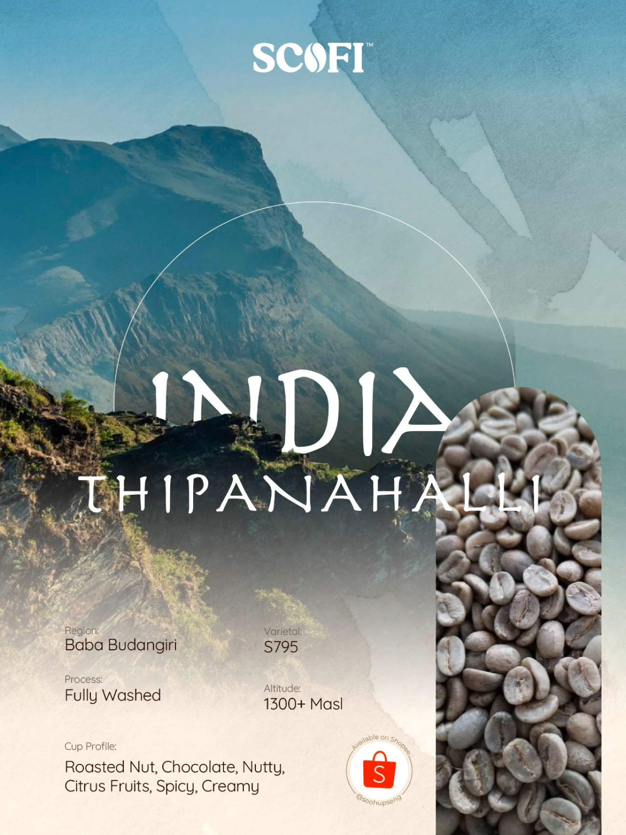 Arabica Coffee Beans Suppliers in Malaysia | Scofi