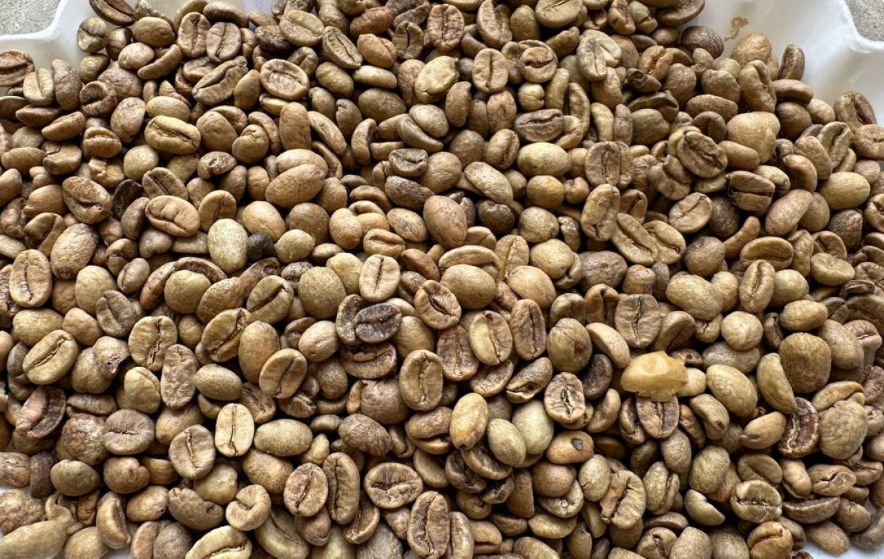 Malaysia's Best Raw Indonesia Old Java Arabica Coffee Beans